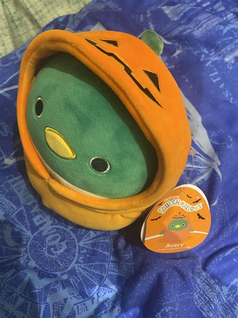 My Sister Ted Me Avery For My Birthday Rsquishmallow