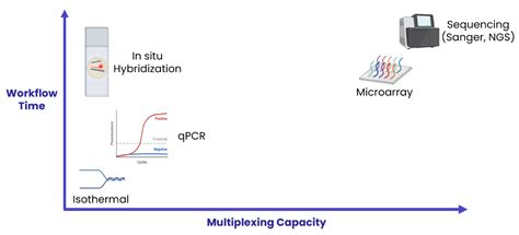Solutions For Common Challenges In Developing Pcr Based Diagnostic Assays