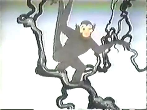 Peruvian Spider Monkey Animals Wiki Fandom