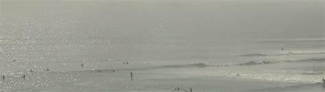 Surfer Object Detection Roboflow Universe