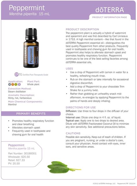Introduction To The Top 10 Essential Oils Peppermint Peppermint
