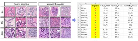 Nextflow And Tower For Machine Learning Seqera