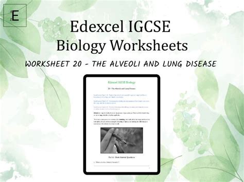 Edexcel Igcse Biology Worksheet 20 The Alveoli And Lung Disease Teaching Resources