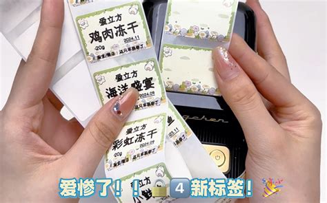 沉浸式打包～ 今天来得早呀！ 这只羊我牵了 这只羊我牵了 哔哩哔哩视频