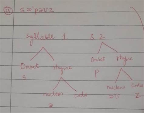 [solved] Draw The Syllable Structure Diagrams For Each Of The Following