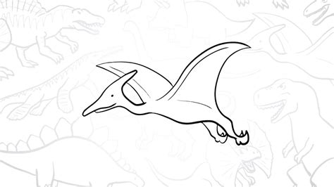 Pterodactyl Drawings