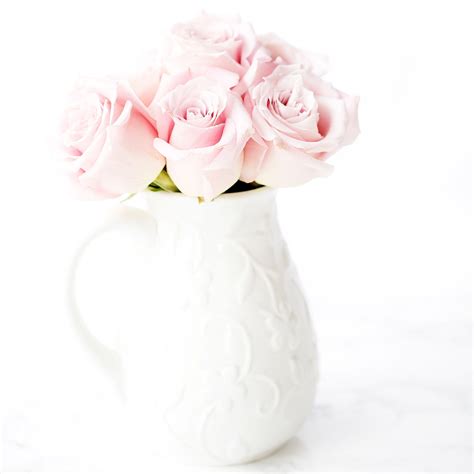 About The Virtual Pixie