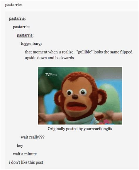 Monkey Puppet Meme Show