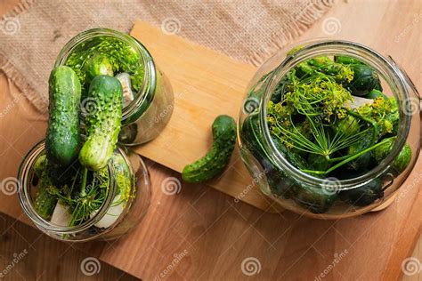 Preparation For Fermenting Fresh Cucumbers By A Process Of Pickling Called Lactic Acid