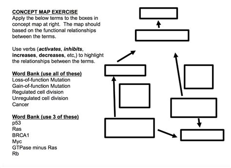 SOLVED CONCEPT MAP EXERCISE Apply The Below Terms To The Boxes In Concept Map At Right The Map