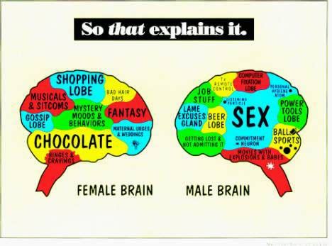 Classic Female Vs Male Brain Cartoon Sex Determination Men Are From Mars Men Vs Women