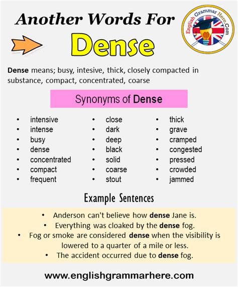 Another Word For Dense What Is Another Synonym Word For Dense