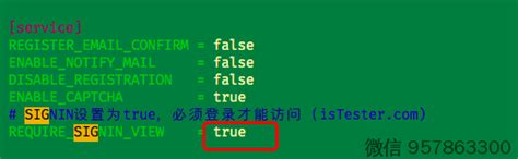 Gogs开启必须登录才能访问主页的设置（没登录，进入登录页） Git Ido老徐