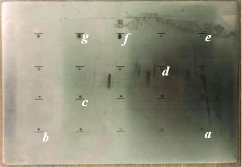 Defect Distribution Diagram Of Steel Plate The Depths At Defects A To