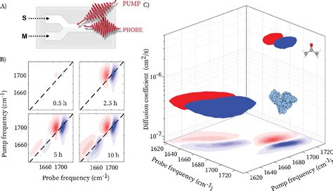 Figure 1 From Infrared Diffusion‐ordered Spectroscopy Reveals Molecular Size And Structure