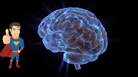 Neuroplasticity The City Within Your Brain
