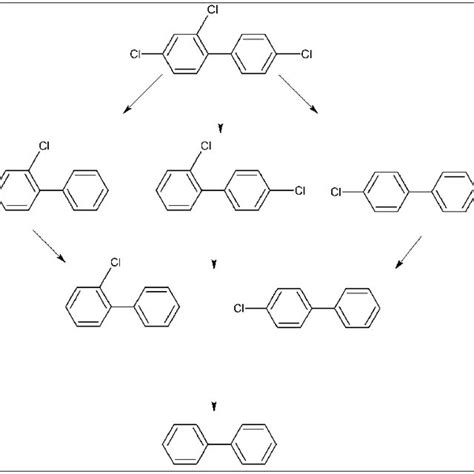 Dechlorination Pathways For Pcb 28 Download Scientific Diagram