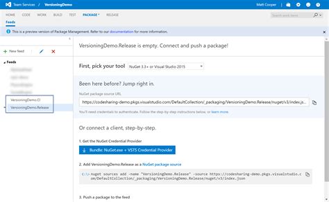 Versioning Nuget Packages In A Continuous Delivery World Part 2 Azure Devops Blog