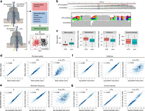Base Calling “errors” Can Be Used As A Proxy To Identify Rna