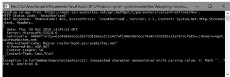 How I Connected A Console Application To A Web Api Protected By An