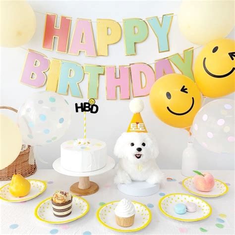 스마일 생일파티세트 페오펫몰