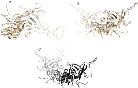 The Predicted 3d Structure Of The Lsn A And Comparison Of The 3d Download Scientific Diagram