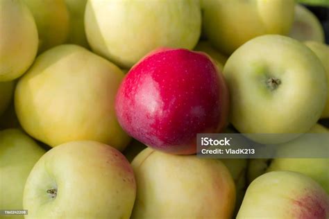 노란색과 녹색 사과와 붉은 사과 여러 가지 색깔의 사과의 배경 0명에 대한 스톡 사진 및 기타 이미지 0명 건강한 식생활 과일 Istock