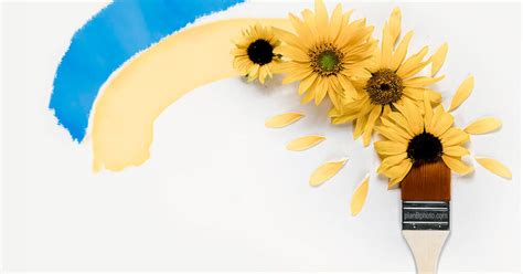 Ризики і небезпеки воєнного часу Види ризиків в зоні бойових дій