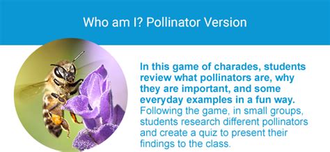 Monarch Butterflies Powerful Pollinators Earth Rangers Homeroom