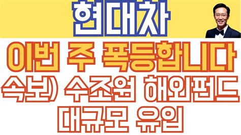 현대차 주가전망 이번 주 폭등합니다 주말 긴급 속보 수조원 해외펀드 대규모 유입 Youtube