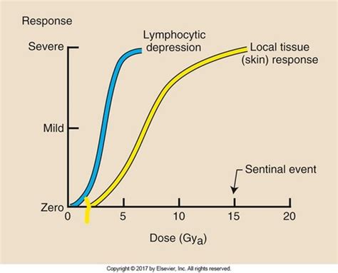 Deterministic Effects Flashcards Quizlet