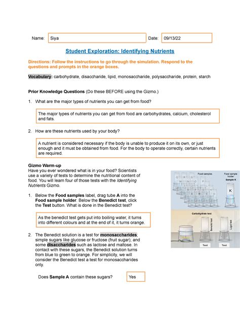 Identifying Nutrients Siya Patel 703121 Name Siya Date 0913