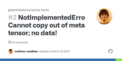 notimplementederror cannot copy out of meta tensor no data · issue