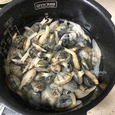 바지락 조개 해감 방법 해수or소금 이용하기 네이버 블로그