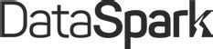 Home Dataspark Turn Insights Into Action