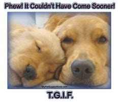 31 T Ideas Its Friday Quotes Happy Friday T