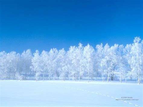 겨울 풍경 사진 좋은 발라드100곡모음 겨울시 네이버 블로그