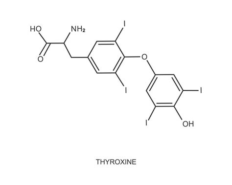 Thyroid Hormone Structure
