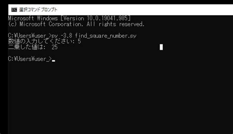 Pythonで数値の 乗を求めるプログラムを作成する Men of Lettersメンオブレターズ 論理的思考 業務改善 プログラミング