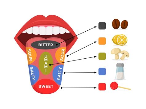 The Building Blocks Of Taste Crafting Culinary Perfection