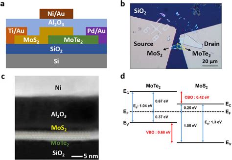 Device Image And Band Alignment Of Mote2 Mos2 Heterojunction Vertical Download Scientific