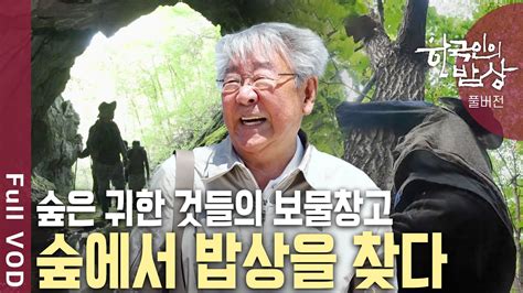 인생의 쉼표를 찾아 숲으로 떠난 사람들이 발견한 맛의 느낌표 숲에서 밥상을 찾다 한국인의 밥상 쉼 그리고 맛의 느낌표 Kbs 20240926 방송