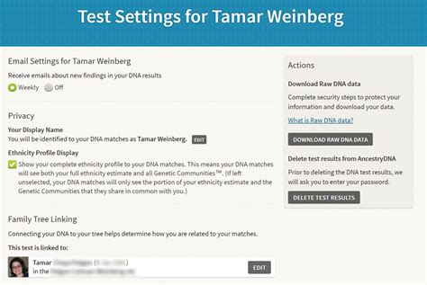 Steps To Creating A Mirror Tree To Find Your Birth Family