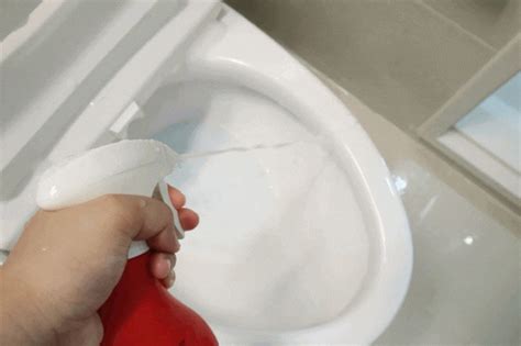 화장실 청소 세제 다이소 홈스타 락스와세제 사용후기 네이버 블로그