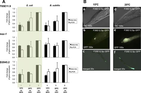 Validation Of MRNA Sequencing Results A Gene Expression Download Scientific Diagram