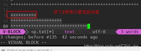 vim在不相等的多行末尾插入相同字符串 gvim 多行词尾 csdn博客