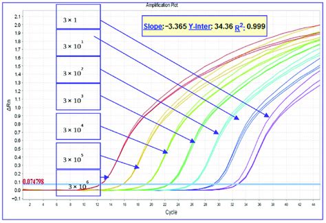 Amplification Plot Of The P Larvae Genome Standard Curve Relation