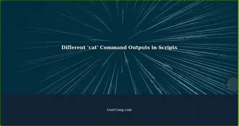 Different Outputs When Running Cat Command Via Scripts Catsh