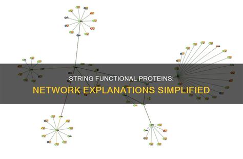 String Functional Proteins Network Explanations Simplified Medshun