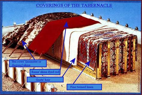 Tabernacle In Exodus Diagram Of The Tabernacle And Basic Layout Fycb